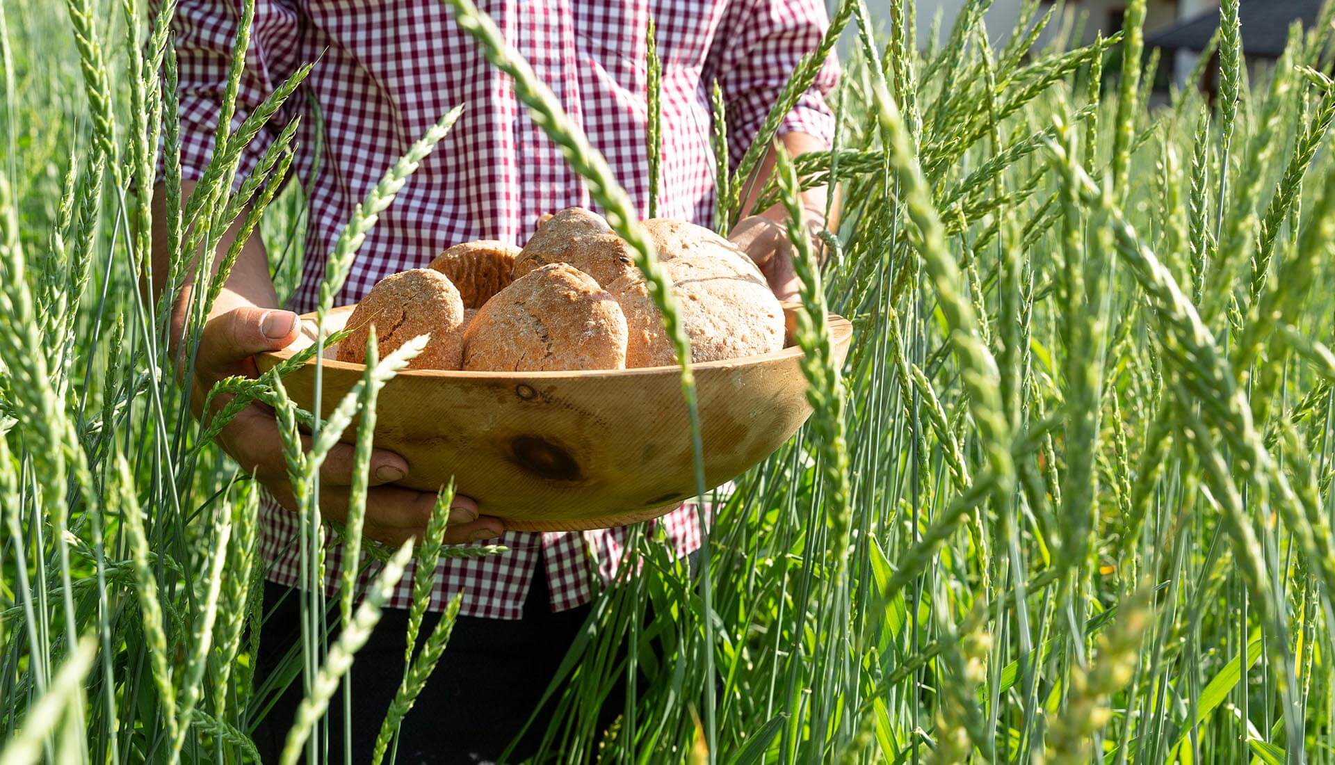 Biogemüse & Bioobst - Gesunde Bioprodukte direkt vom Bauern in Südtirol